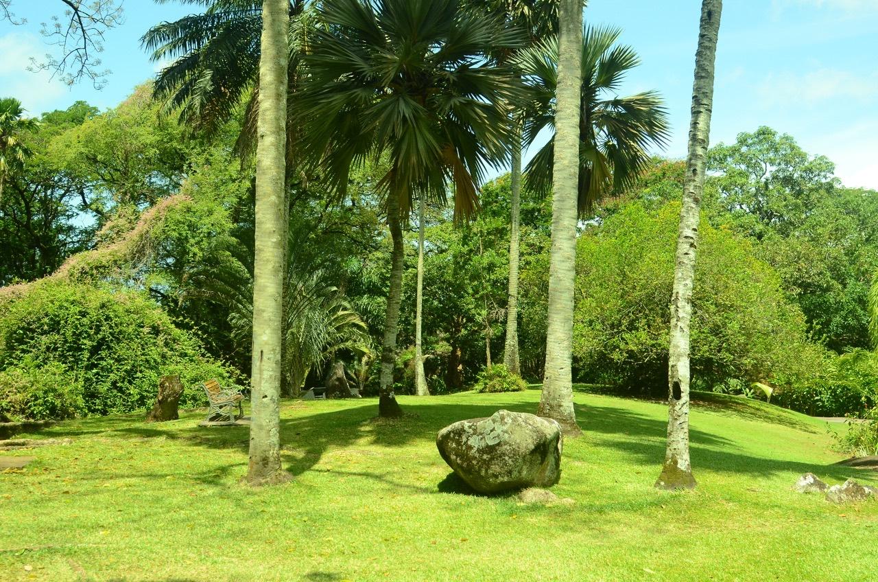 National Botanical Garden | Seychelles Parks and Gardens Authority
